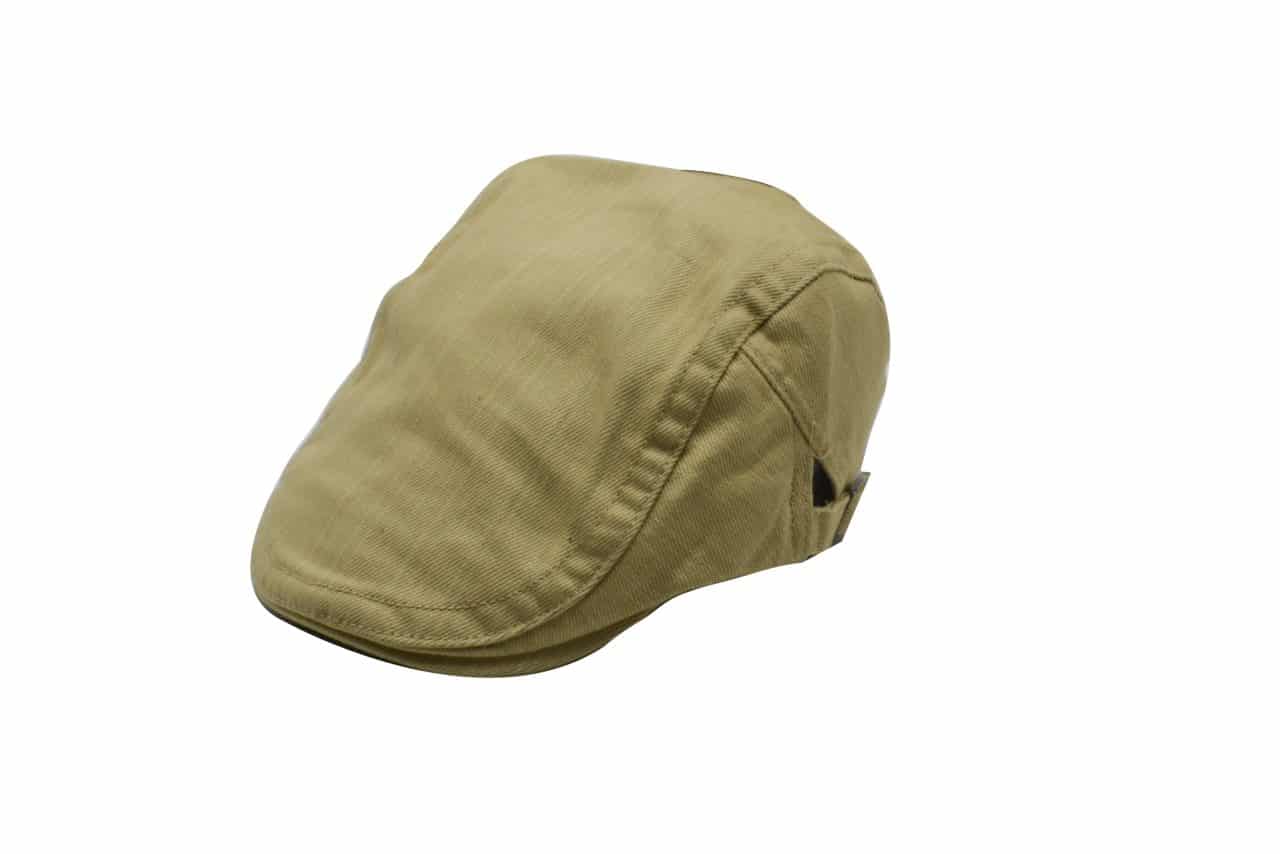 Newsman | Electric Pukeko Hats